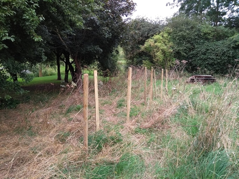 Building a Dead Hedge - Greenergolf
