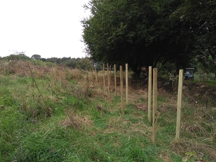 Building a Dead Hedge - Greenergolf
