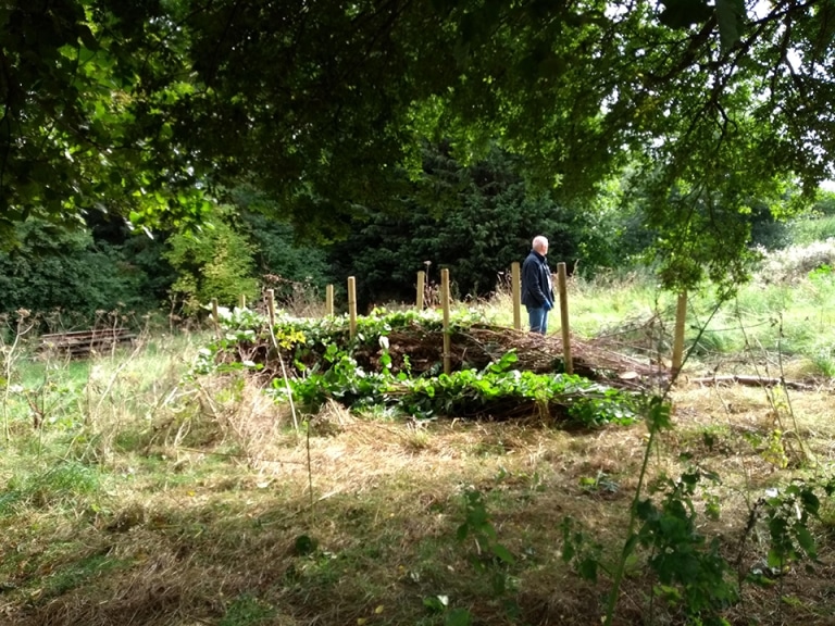 Building a Dead Hedge - Greenergolf