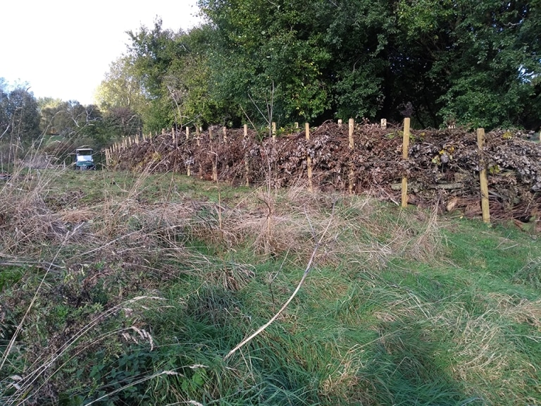Building a Dead Hedge - Greenergolf