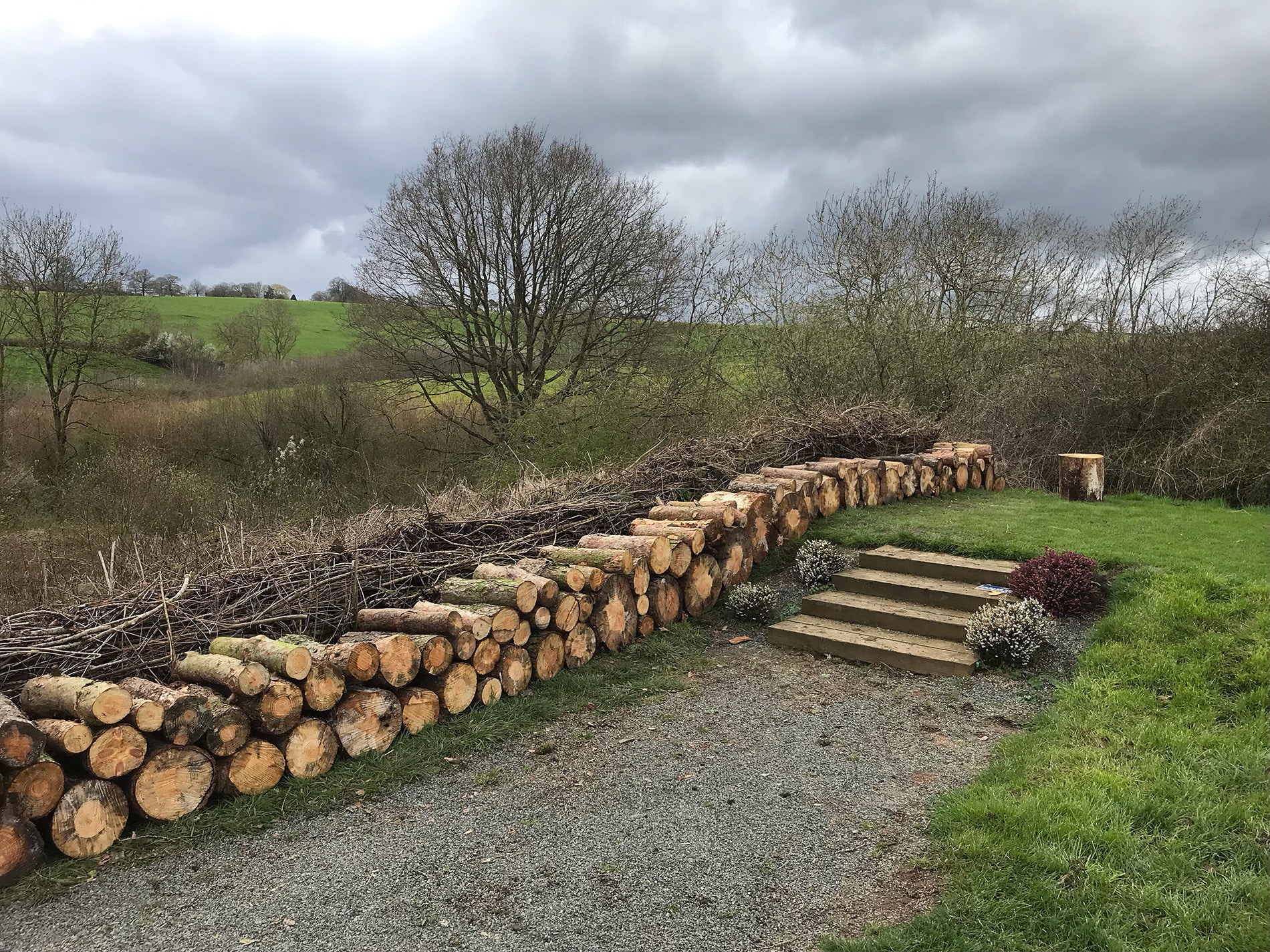 Building a Dead Hedge - Greenergolf